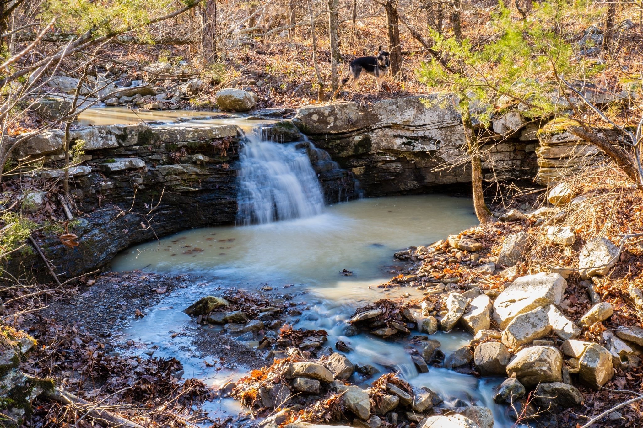 The Cove And Canyon At Bob Boyer Park In Arkansas Will Have You ...