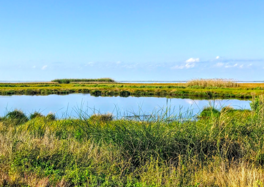 Experience Louisiana’s Marshes Like Never Before At The 125,000+ Acre ...
