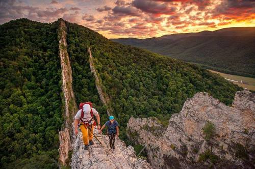 Tackle This Via Ferrata Bridge Suspended Between Nelson Rocks In West ...