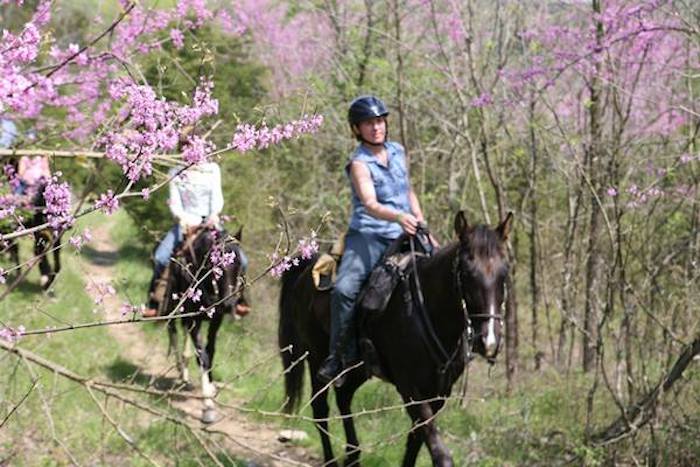 Take A Trail Ride In Kentucky With Whispering Woods Riding Stables