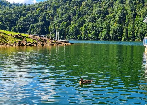 Rent A Houseboat On Sutton Lake, West Virginia For Your Next Vacation