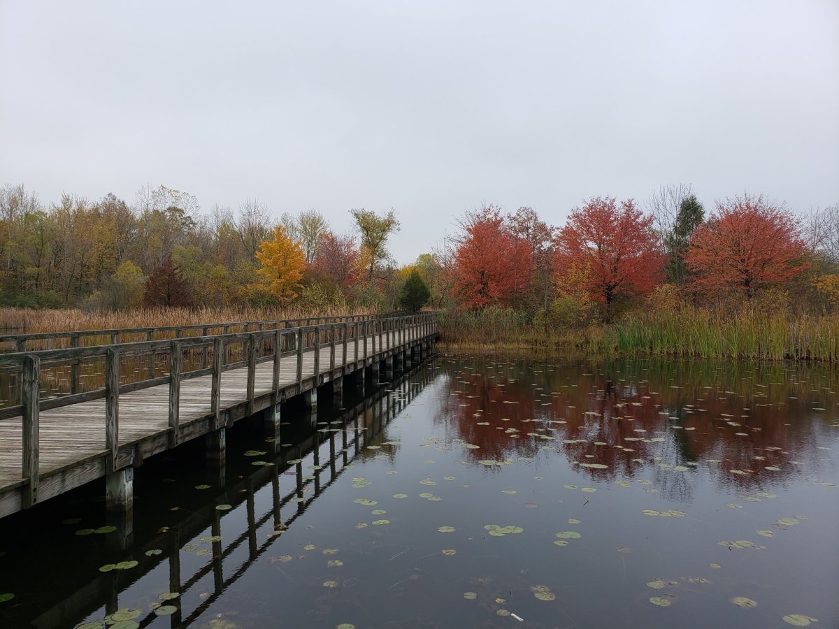 Here Are 8 Awesome Natural Attractions In And Around Detroit