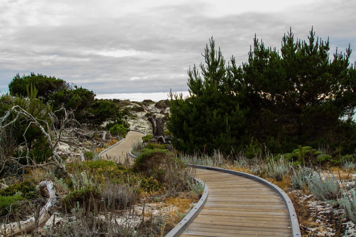 This Beach Boardwalk Hike In Northern California Has Fantastic Coastal ...
