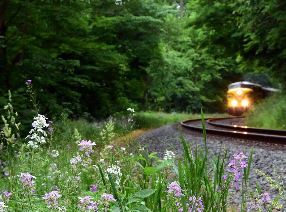 Most Scenic Train Ride in Ohio: Cuyahoga Valley Scenic Railroad
