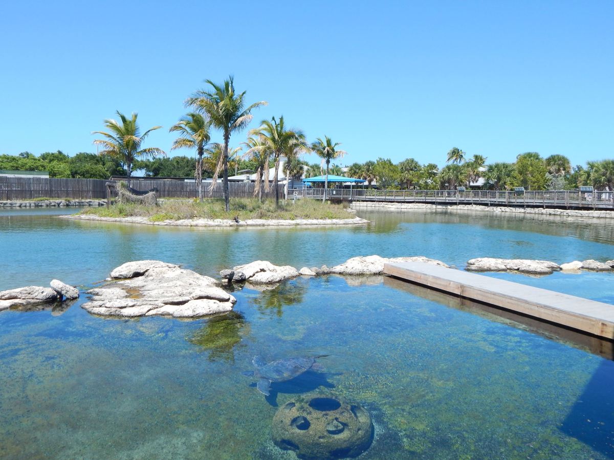 Florida Oceanographic Coastal Center Is Perfect For A Family Day Trip
