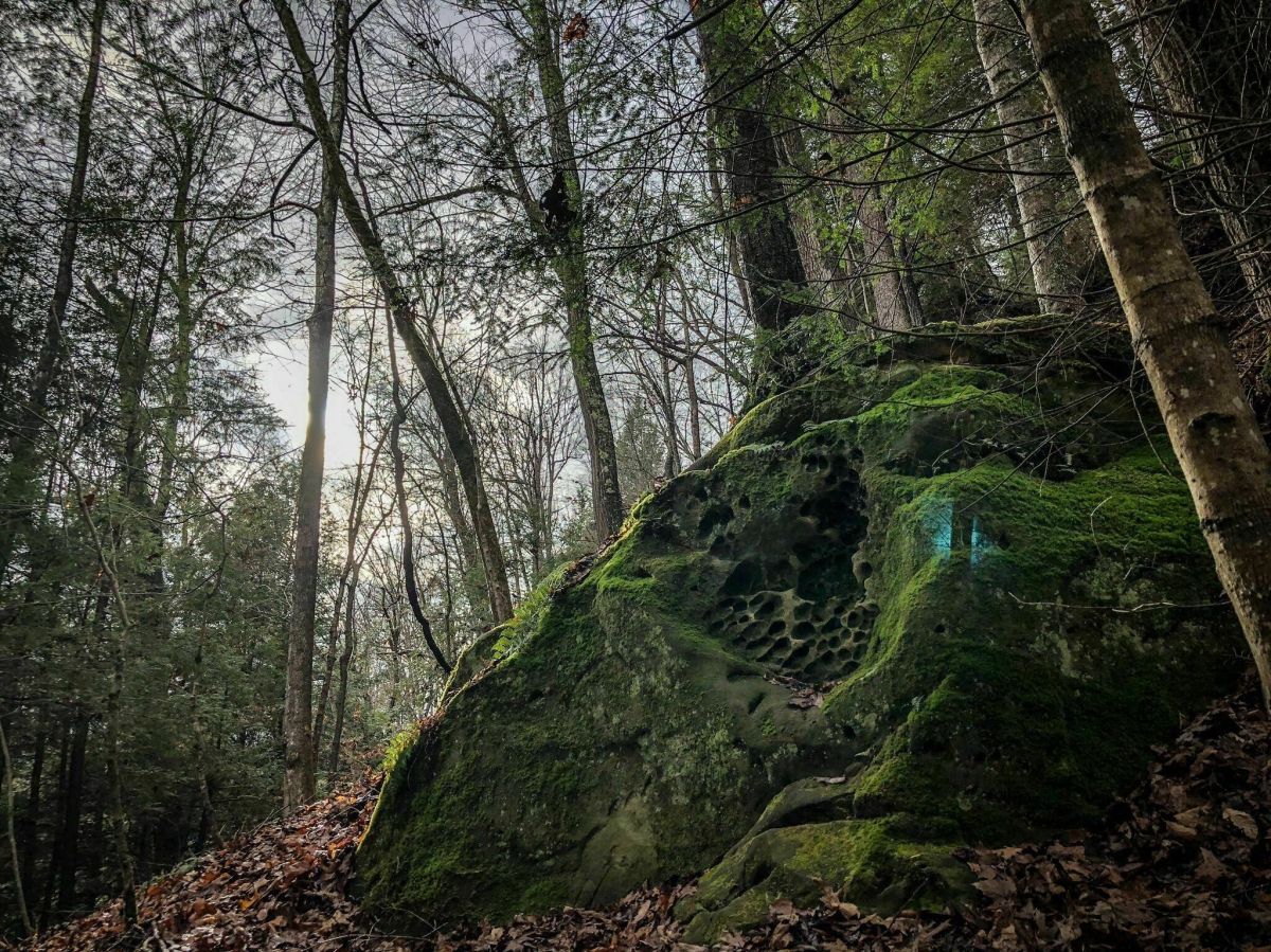 Escape To A Beautiful Kentucky Nature Scene On The Three Bridges Trail