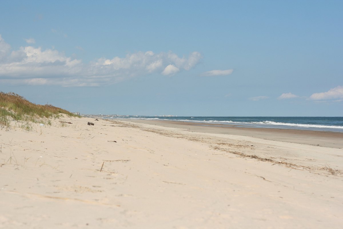 Search For Seashells At Sandbridge, Virignia's Most Pristine Beach