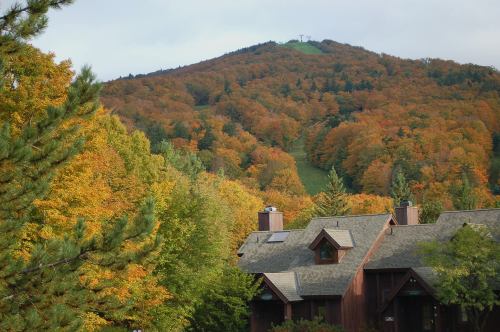 For A Fast Time Ride The Alpine Slide At Bromley Mountain In Vermont