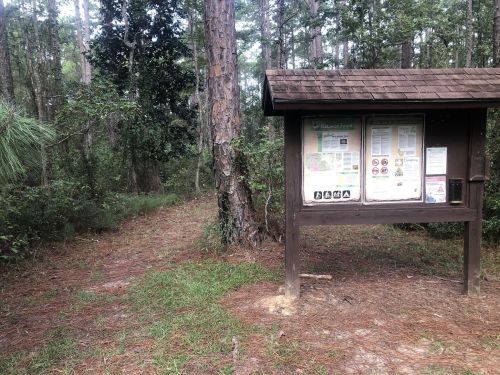 The Wild Azalea Trail In Louisiana Is The Perfect Springtime Hike
