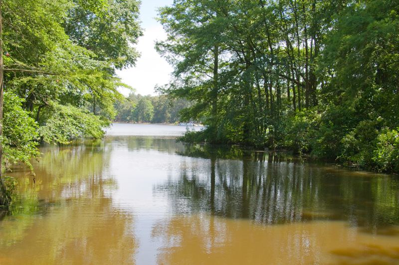 Here's The Ideal Weekend Agenda in Laurel, Delaware