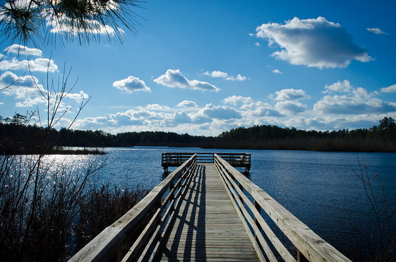 Explore Incredible Marshes On Prime Hook's Variety of Trails