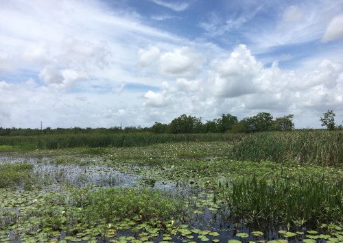 Experience Louisiana’s Marshes Like Never Before At The 125,000+ Acre ...