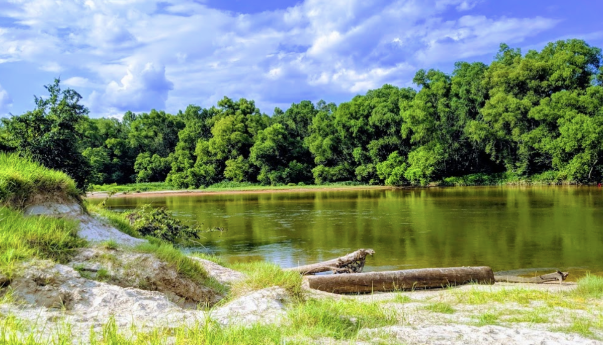 Over 1,700 Acres Of Adventure Awaits You At Bogue Chitto State Park
