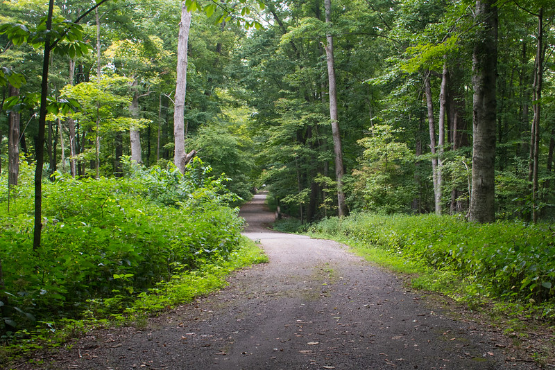 Pioneer Mothers Memorial Forest Is The Site Of Indian Ruins In Indiana