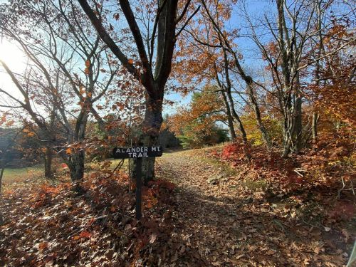 Alander Mountain Trail Overlook In Massachusetts Is A Challenging Hike