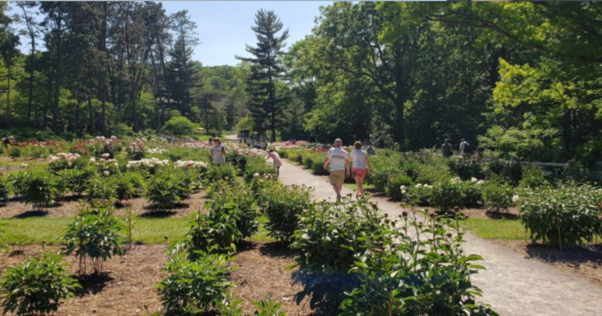 Here Are 9 Fantastic Spring Hikes Near Detroit