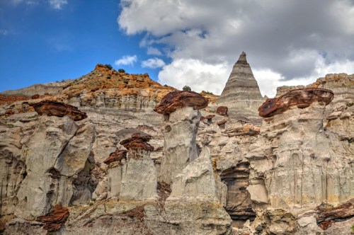 New Mexico Rock Formations: Lybrook Fossil Area