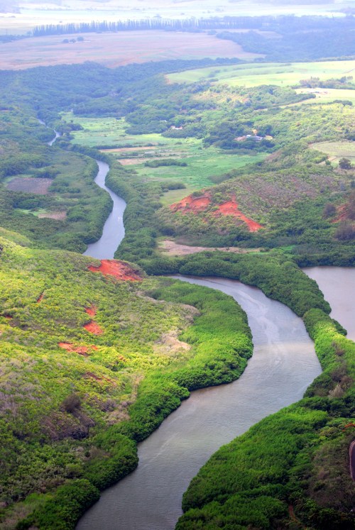 The Only Navigable River In Hawaii, Wailua River Is A Thing Of Natural ...