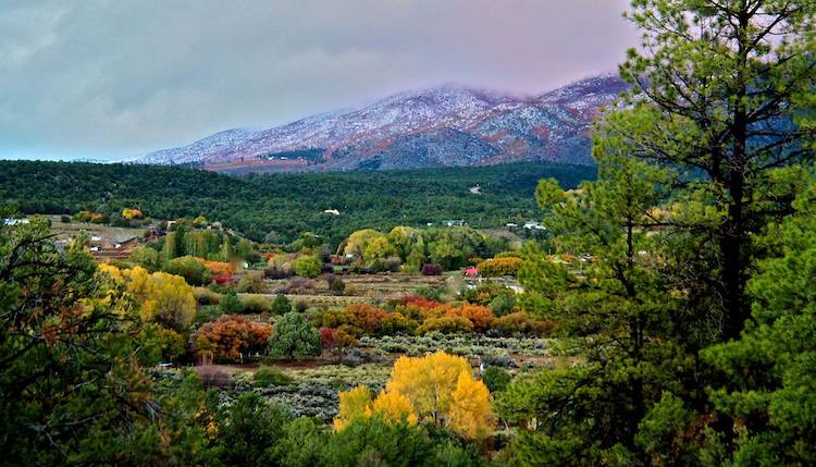 You’ll Want To Visit Taos Goji Farm, A Dreamy Goji Berry Farm In New ...