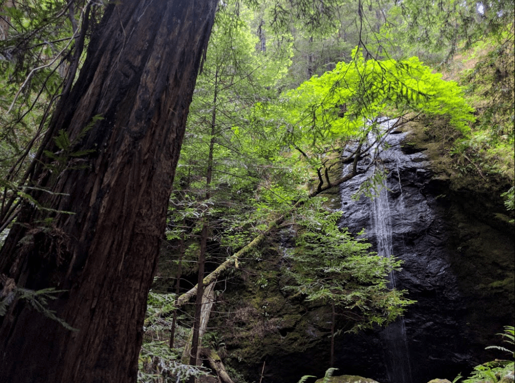 Jackson State Forest Is A Lucky Find For Nature Lovers In Northern ...