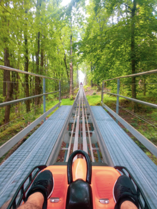 Georgia Mountain Coaster Is The First Alpine Coaster In The State