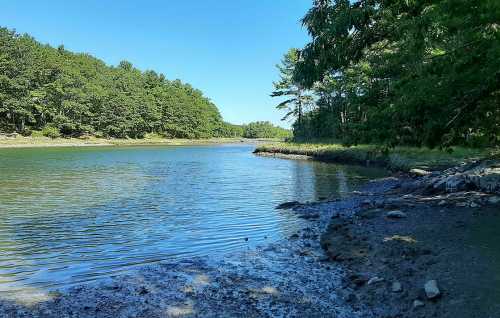 The Marsh On The Cutts Island Trail In Maine Offers A Beautiful Water View