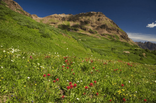 Take This Road Trip To These 6 Beautiful Flower Fields In Colorado