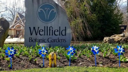 Wellfield Botanic Garden Is Best Place To See Spring Flowers In Indiana