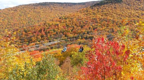 This Zip Line Tour In New York Might Just Be One Of The Best In The Country