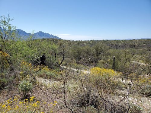 Honey Bee Canyon Park Is An Underrated Nature Spot In Arizona