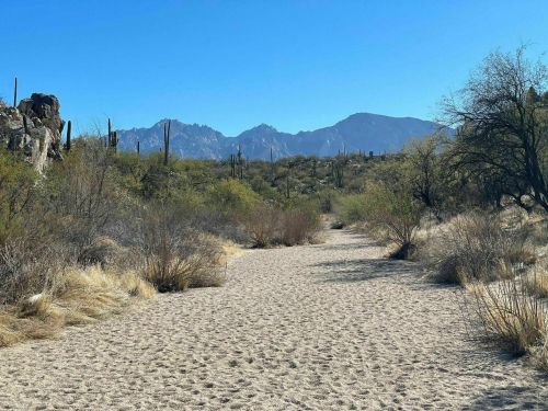 Honey Bee Canyon Park Is An Underrated Nature Spot In Arizona