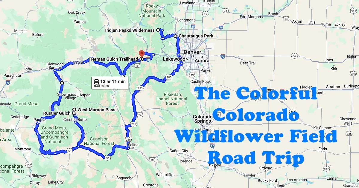 Take This Road Trip To These 6 Beautiful Flower Fields In Colorado