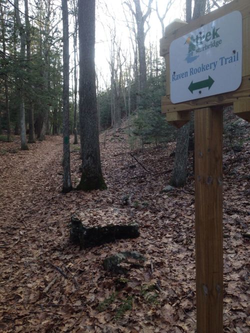 Raven Rookery Trail Is Best Easy Emerald Lagoon Hike In Massachusetts