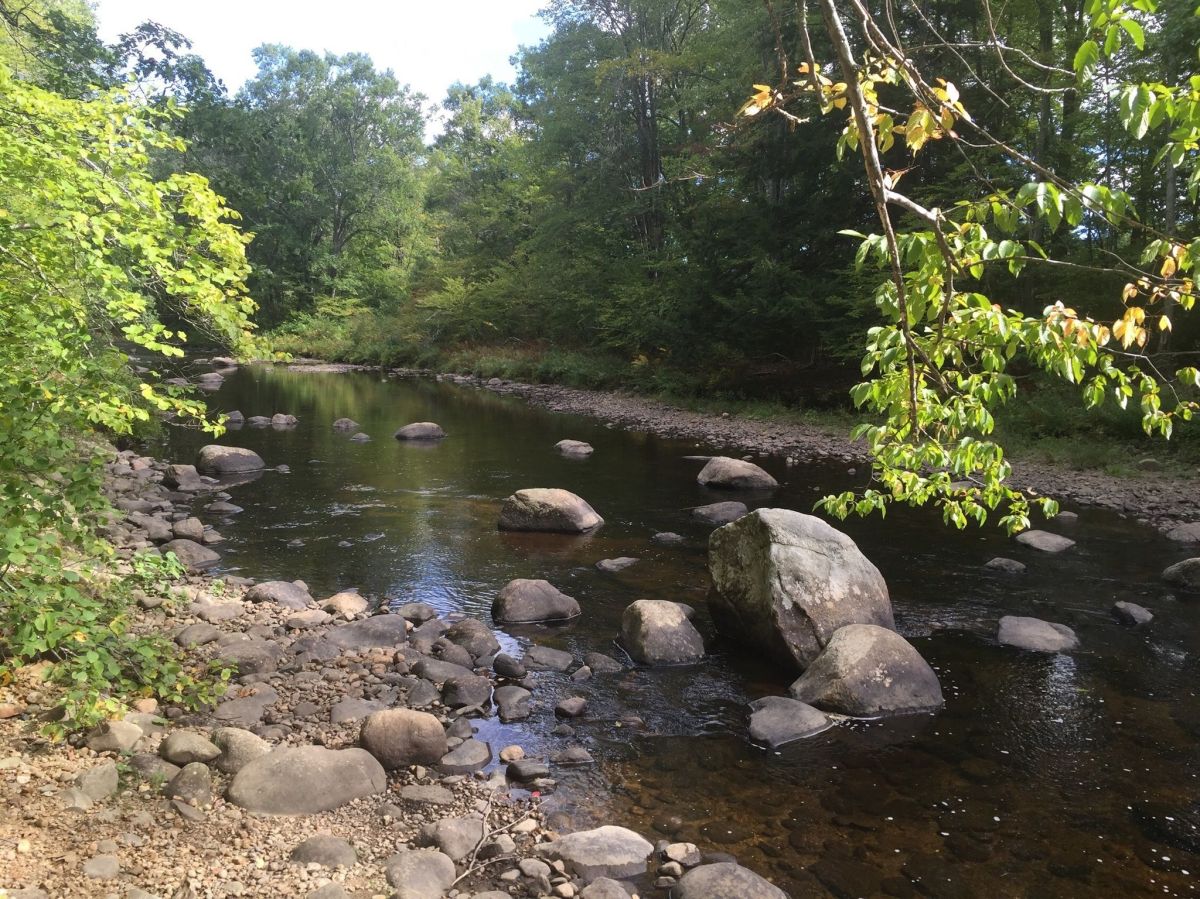 New Boston Rail Trail Is An Easy Hike With A Great View At The End