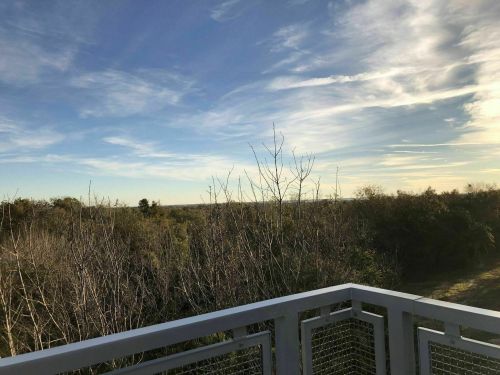 Green Mountain Scenic Overlook In Florida Provides Treetop Views