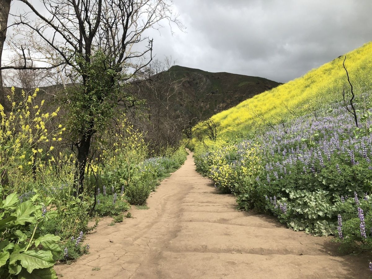 Escondido Falls Trail Is A Waterfall Hike In Southern California