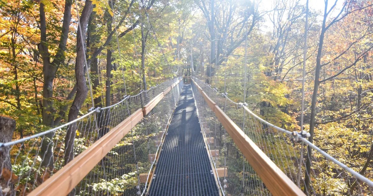 The Breathtaking Murch Canopy Walk In Ohio at Holden Arboretum