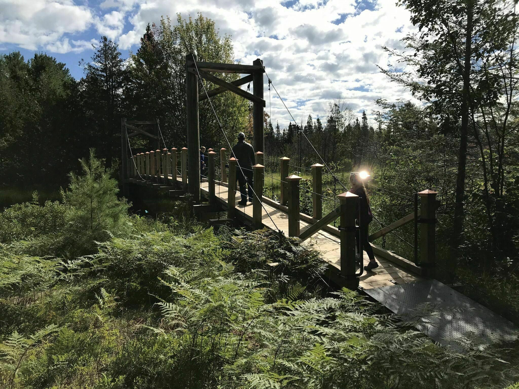 The Gorgeous 3.4-Mile Hike In Michigan’s Hiawatha National Forest That ...