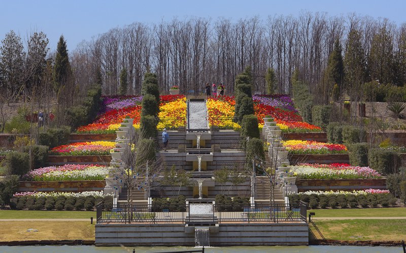 Enjoy Over 120,000 Blossoms At The Tulsa Botanic Blooms Festival In ...