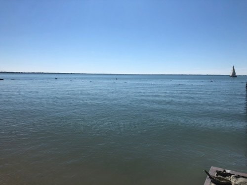 Hidden Gem Beaches Near Detroit Road Trip