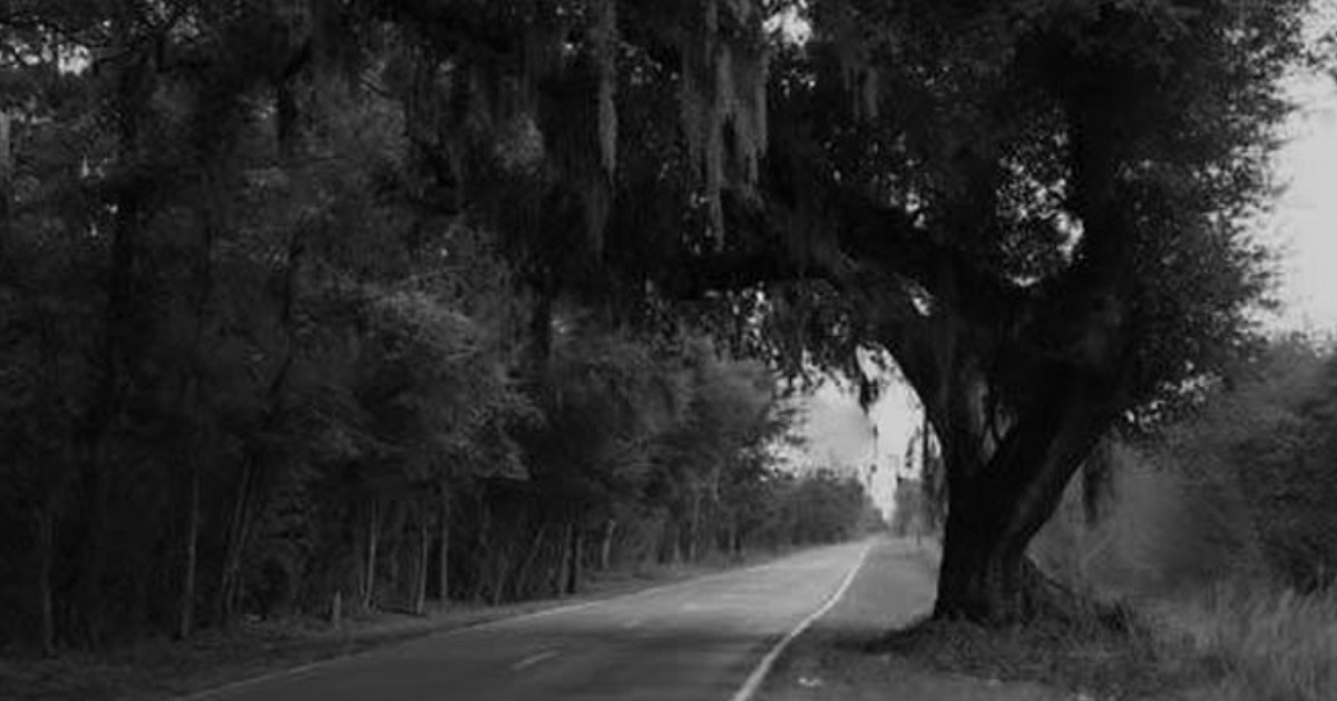 Visit A Haunted Road In South Carolina That's Super Spooky