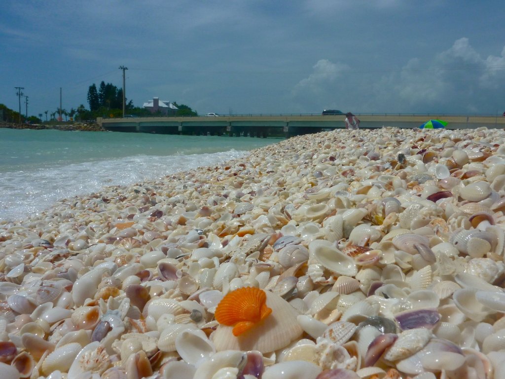 This Hidden Beach Along The Florida Gulf Is The Best Place To Find ...