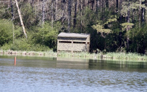 Visit Wood Duck Heritage Preserve In Alabama