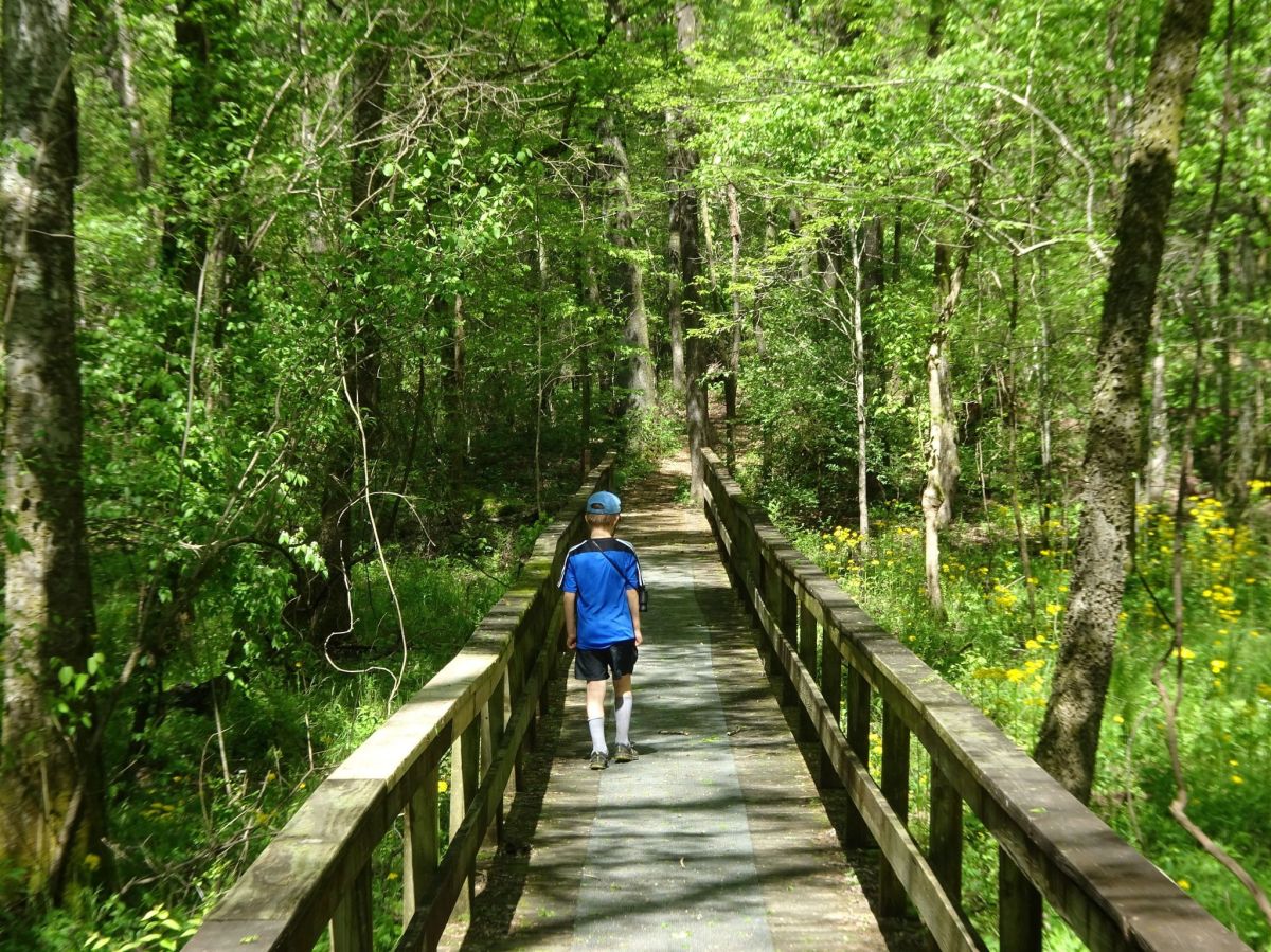Blackland Prairie Trail Boardwalk Leads To Scenic Views In Mississippi