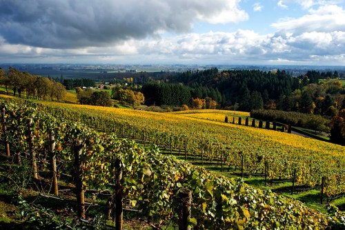 Kinton Is The Absolute Creepiest Ghost Town In Oregon