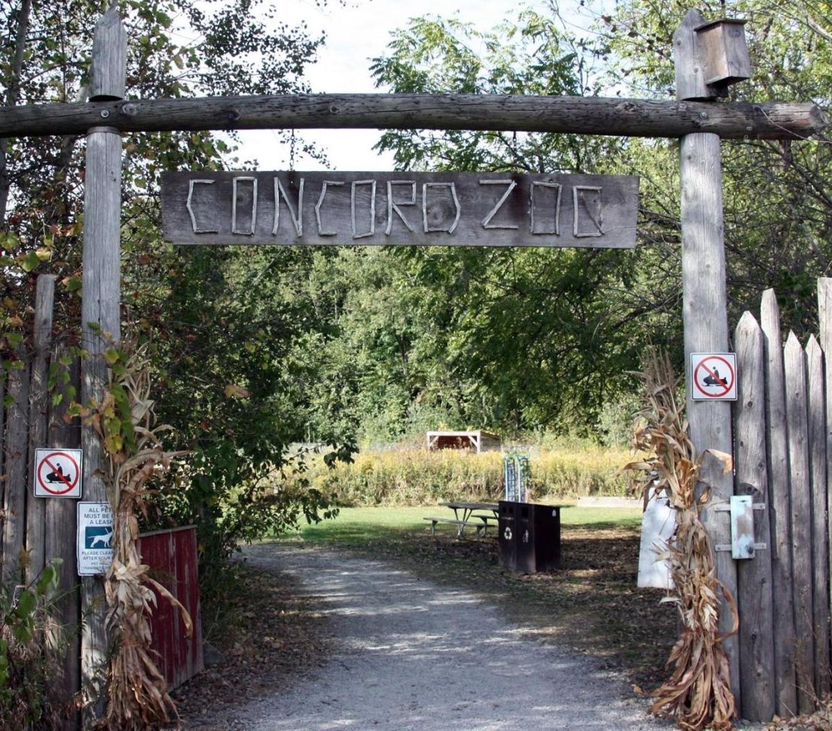 Spend A Day At Wisconsin's Admission Free Petting Zoo