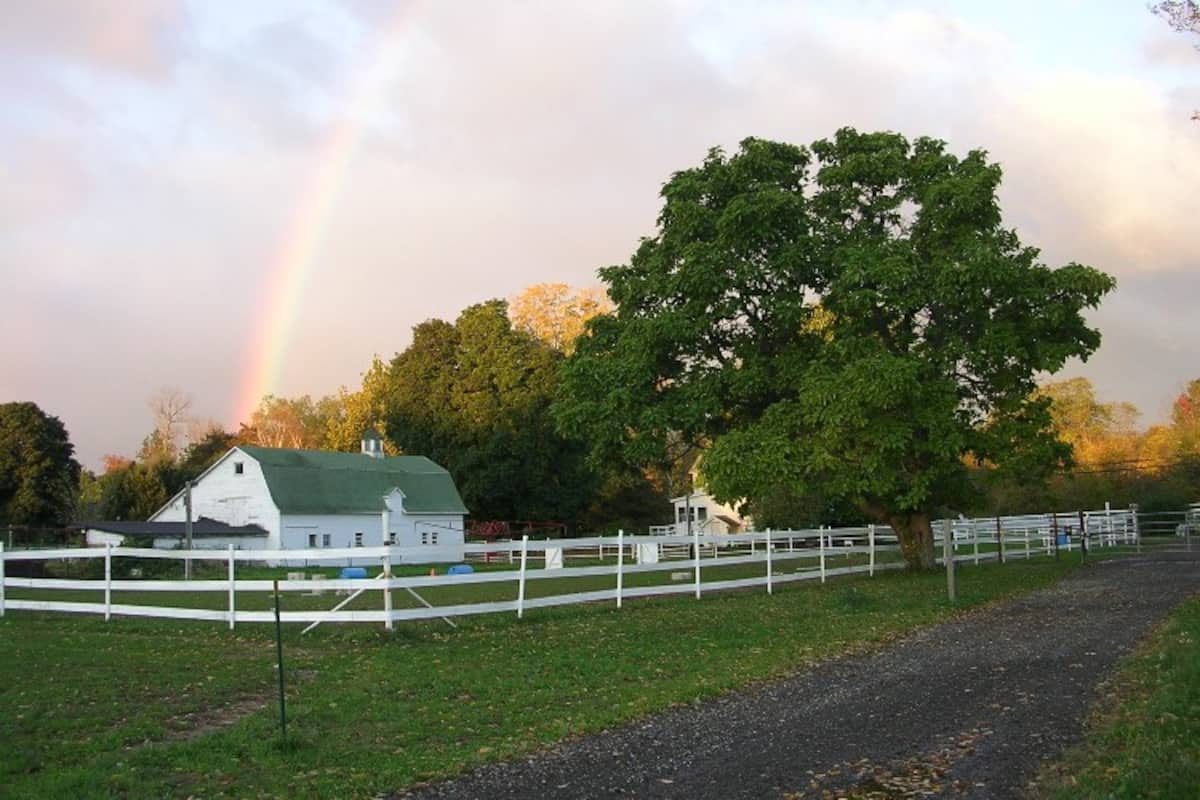 For A Memorable Experience Plan A Stay On This Farm In Connecticut