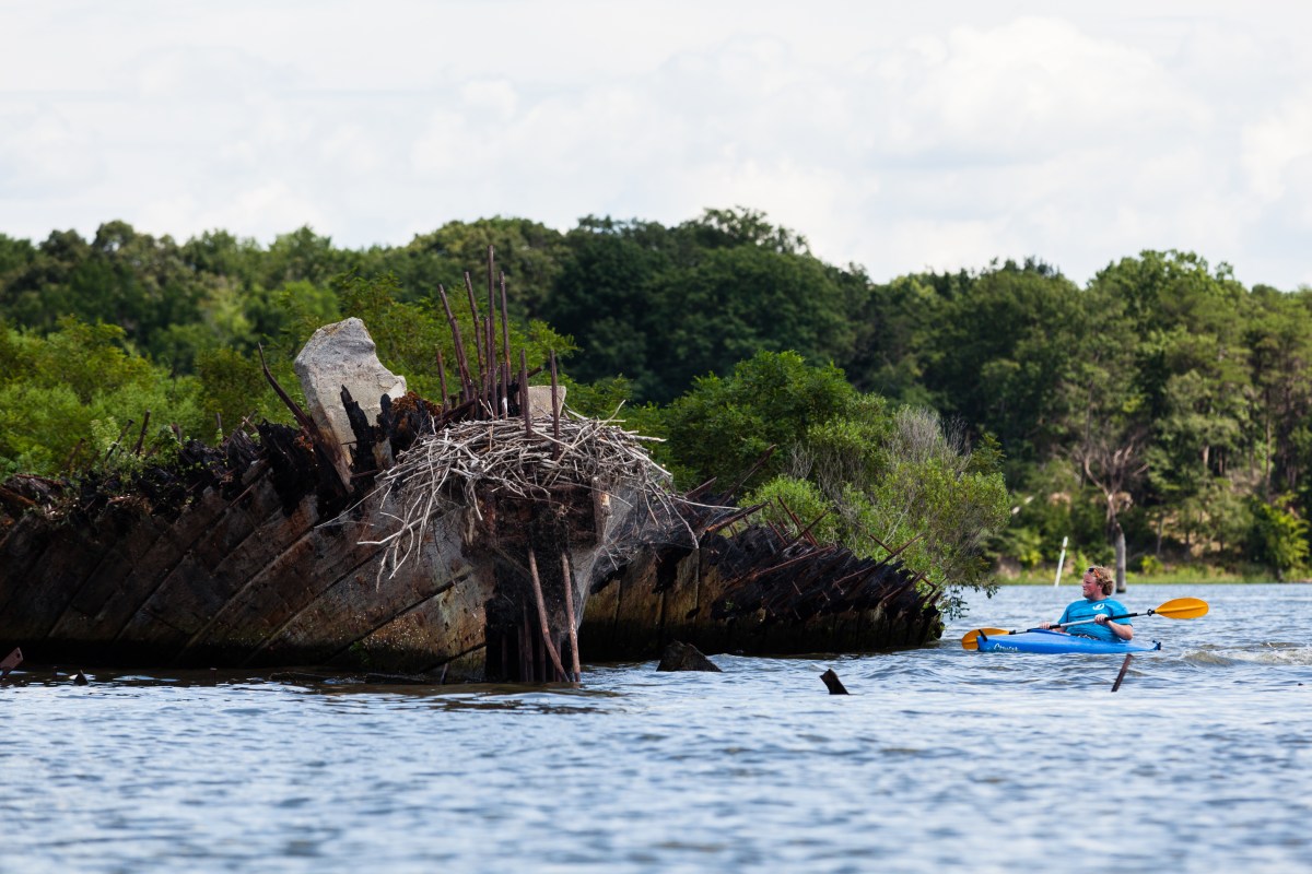 Explore Sunken Ship Ruins At Mallows Bay In Maryland