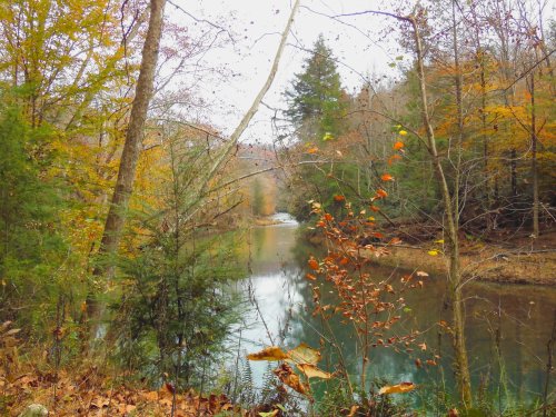 Rail Bike Tours In West Virginia: Buffalo Creek Trail