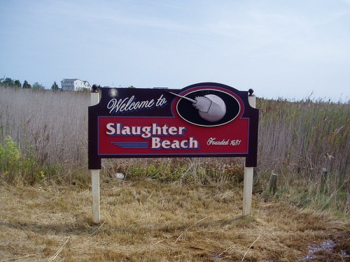 Slaughter Beach Is The Best Place In Delaware To Pick Up Seashells